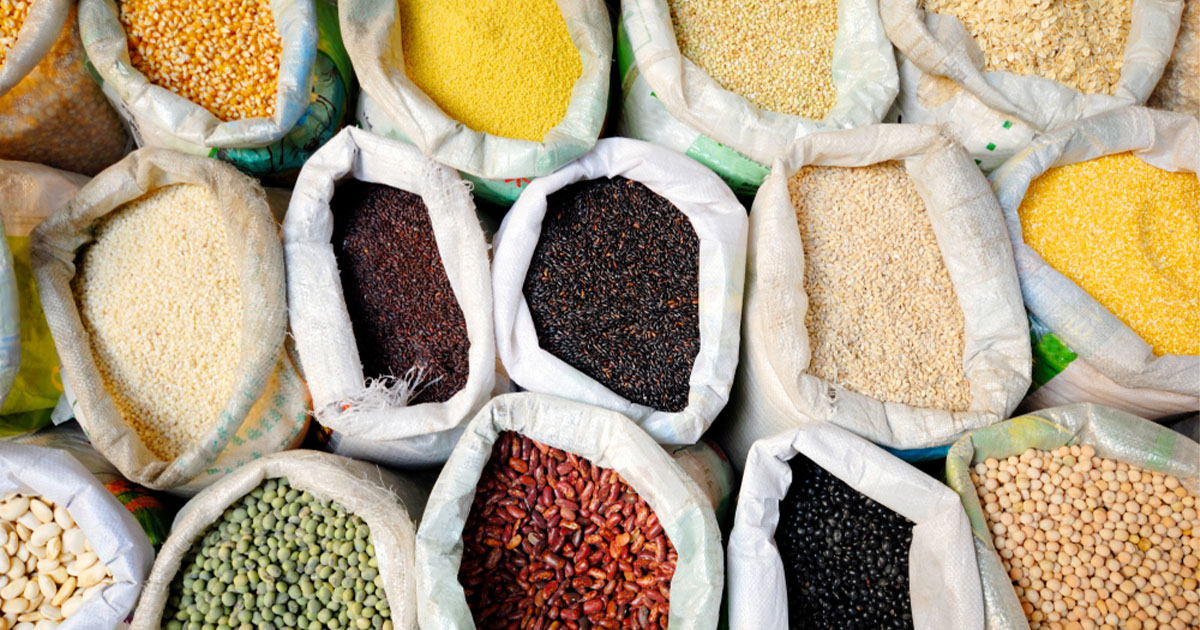 مضادات غذائية في الحبوب والبقوليات أطيب طبخة